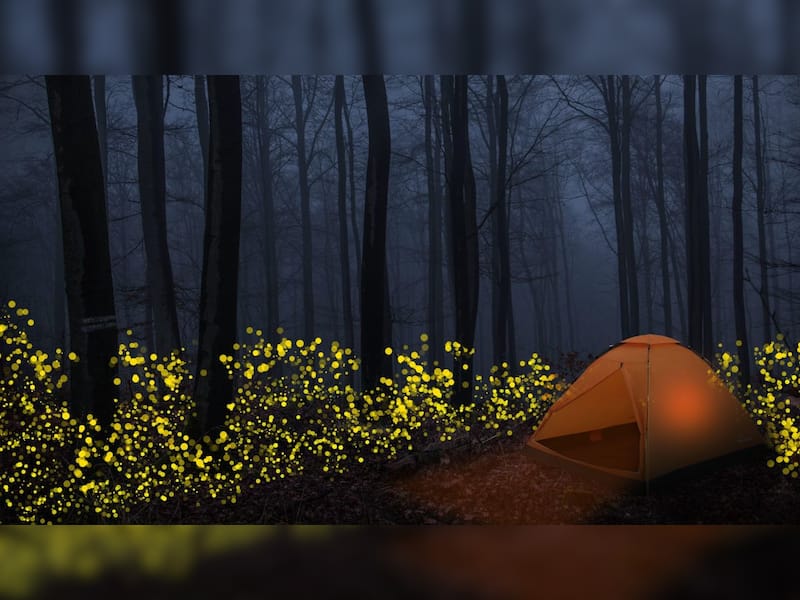 Want to feel the magic of pre-monsoon nights? Discover 5 stunning ...