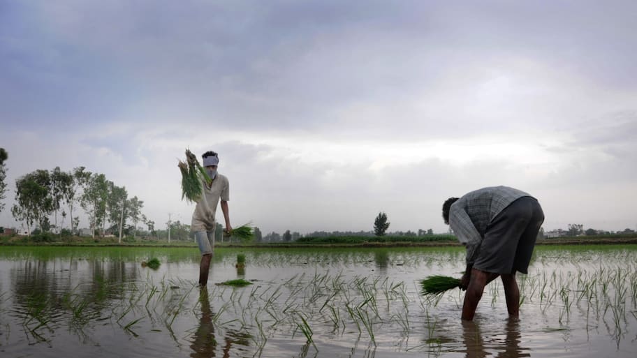 El Niño weakens Monsoon, government deploys an early tactical shield ...