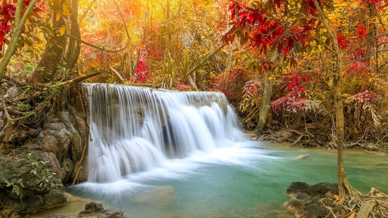Planning a monsoon trip? Don't miss these breathtaking seasonal ...