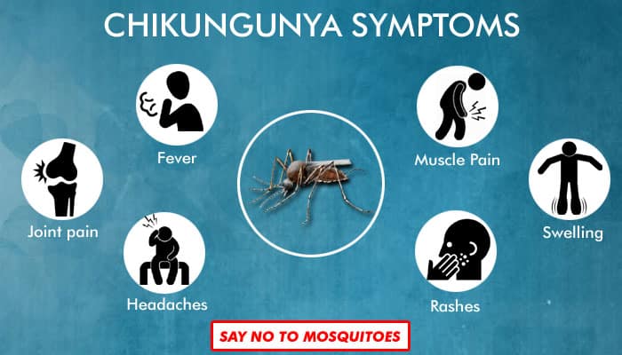 How to fight dengue, malaria, flu and chikungunya – Symptoms ...