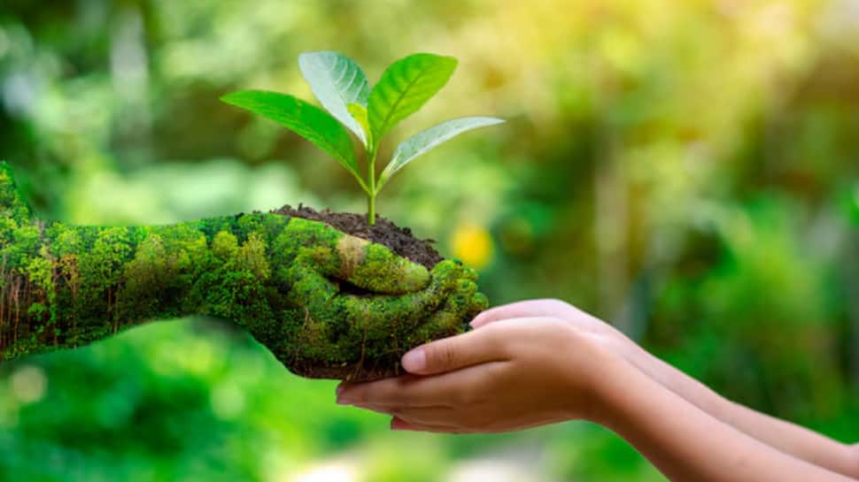 World Earth day 2026: 100+ wishes, quotes, greetings, and images to ...