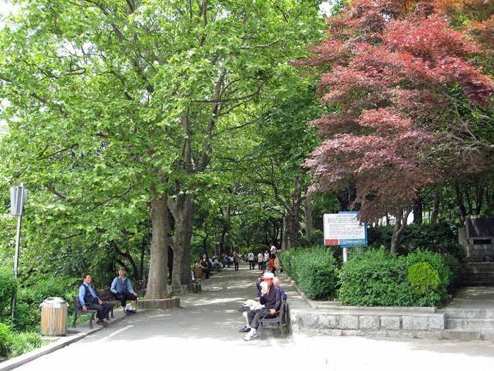 5 things to do in Incheon | Theme News | Zee News