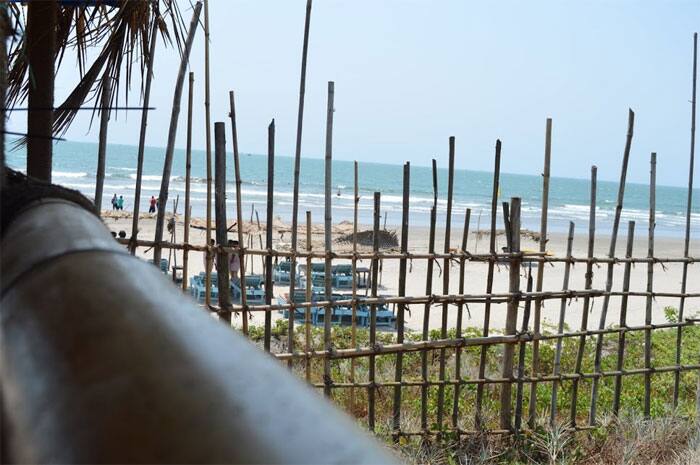 Goa’s beautiful Morjim Beach – In Pics | Feature News | Zee News