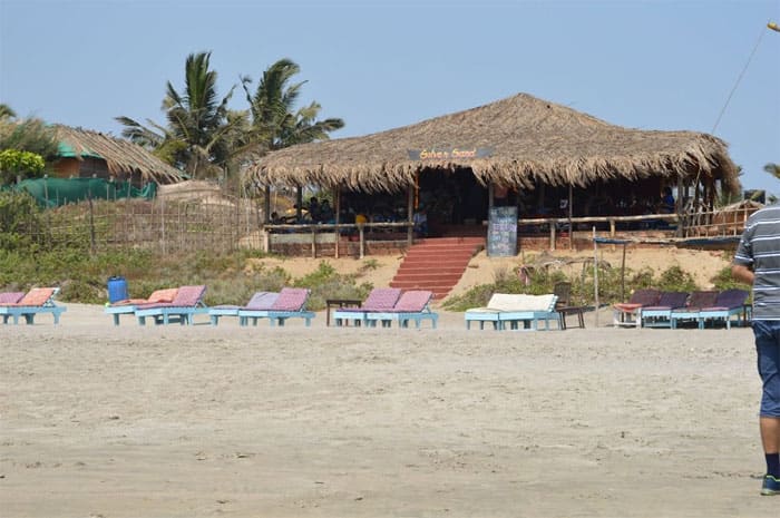 Goa’s beautiful Morjim Beach – In Pics | Feature News | Zee News