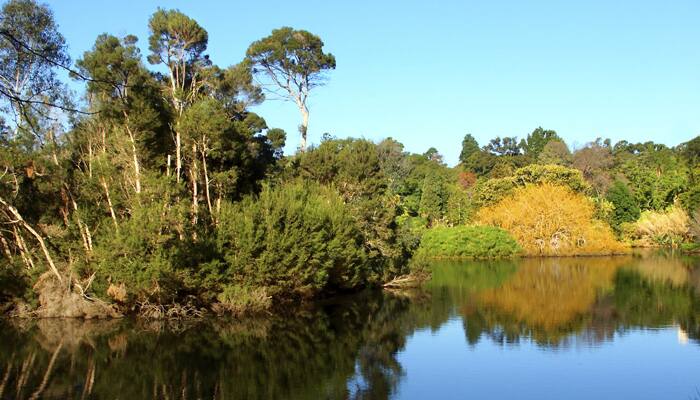 Top 5 places in Melbourne endowed with natural beauty | Feature News ...