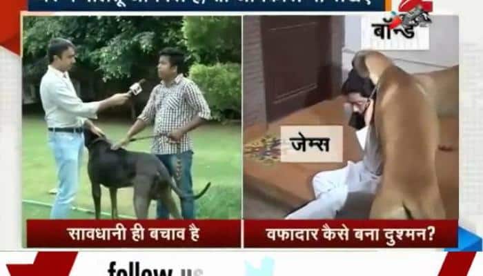 Raj Thackeray's wife stable after dog bite | Maharashtra News