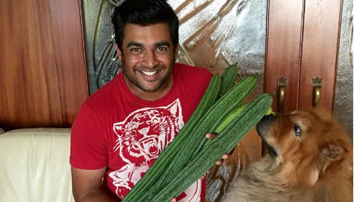 Madhavan looks so CUTE in this throwback picture! See inside | People ...