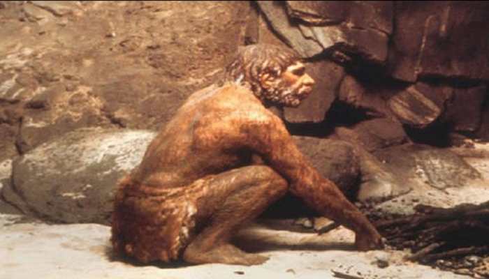 Cold climates led to Neanderthals extinction: Study | Science ...