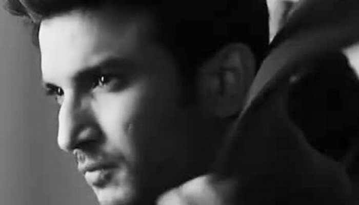 Sushant Singh Rajput-Rhea Chakraborty's company Vividrage Rheality ...