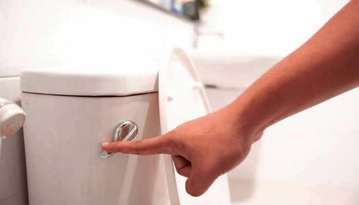 Bizarre : World's largest poop on display at UK museum dates back to ...