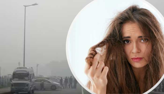 Poor AQI: How does air pollution affect our hair? Ways to protect your ...