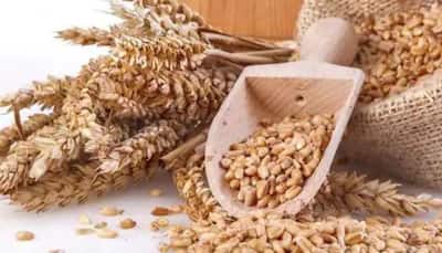 India Govt lays out action plan to promote Millet export commencing ...