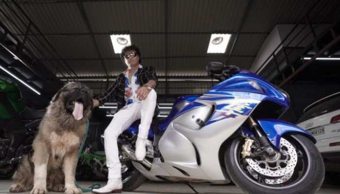 Bengaluru man buys Caucasian Shepherd dog for Rs 20 crore | India News ...