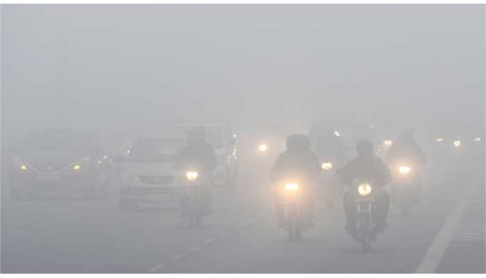 Dense fog Engulfs Delhi-NCR, Morning Visibility Affected | India News | Zee News