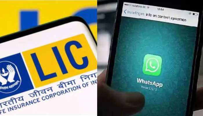 LIC on WhatsApp: How to Activate LIC WhatsApp? Here is the Step by Step Process | Personal ...