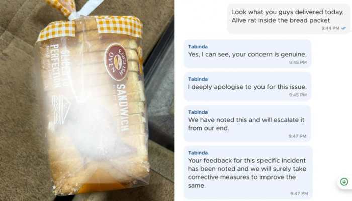Blinkit Customer's Post on Finding a Living Rat Inside Bread Packet Goes Viral | Companies News ...