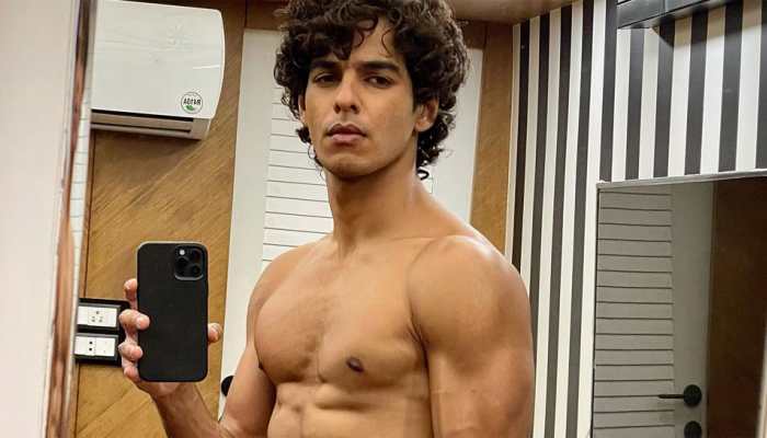 Ishaan Khatter Teases Shirtless Mirror Selfie As A Perfect Thirst Trap ...