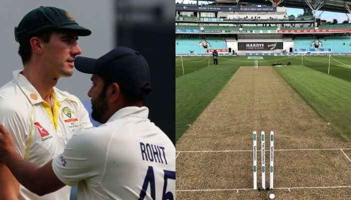 'It Will Be A Very Good...', Jason Gillespie On Oval Pitch For WTC ...