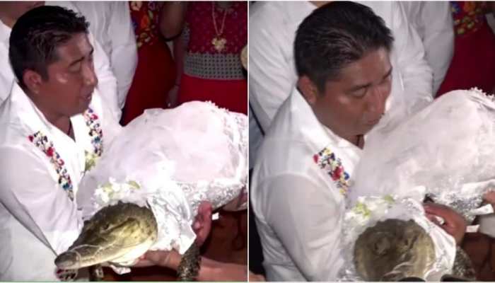 Watch: Following Tradition, Mexican Mayor Weds Alligator To Secure ...