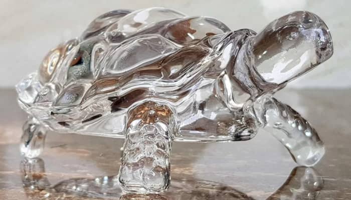 Vastu Tips: What Is The Right Direction For Crystal Tortoise To Attract ...