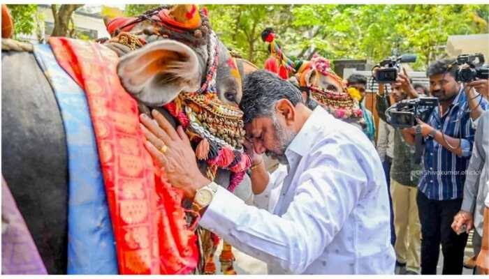 'My Neta' Billionaire: India's Richest MLA Who Is Currently Deputy ...