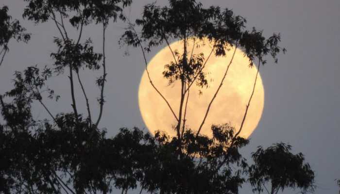 Rare Double Supermoons And Bluemoon In August 2023: How To Watch ...
