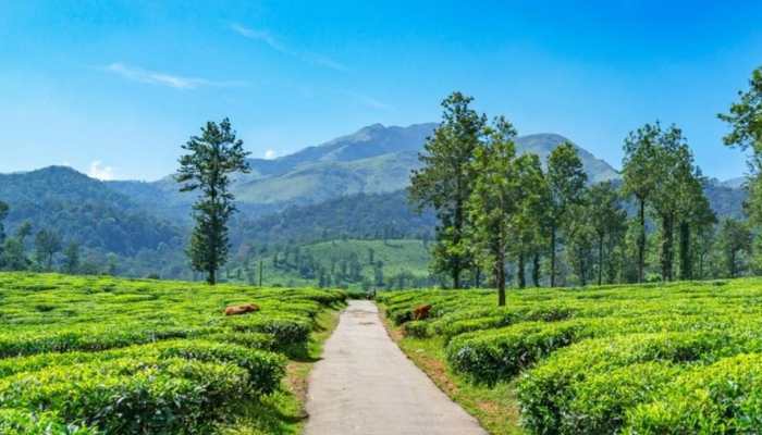 Kerala To Get A New Name? CM Vijayan Moves Resolution To Rename 'God's ...