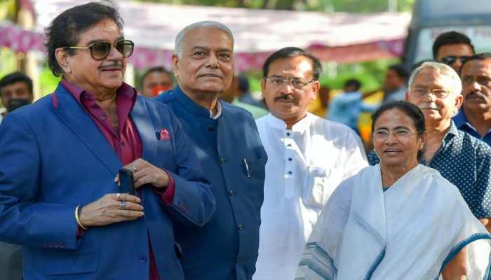 'We Have A Woman President...': Shatrugan Sinha Pitches Mamata As PM In ...