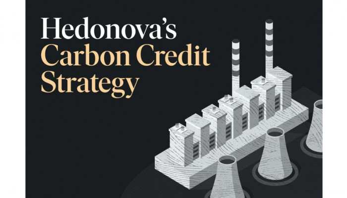 Should You Invest With Hedonova’s Carbon Credit Strategy: Performance ...