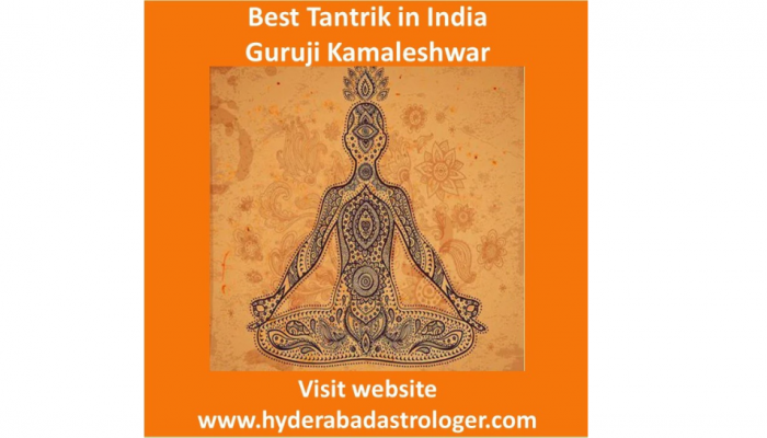 Famous Astrologer And Best Tantrik In India Guruji Kamaleshwar Research ...