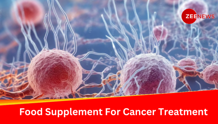 Cancer Treatment: New Food Supplement To Stop Deadly Cell From ...
