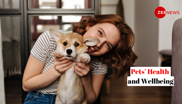 New To Pet Parenting? 5 Ways To Support Your Pet’s Health, Vet Shares ...