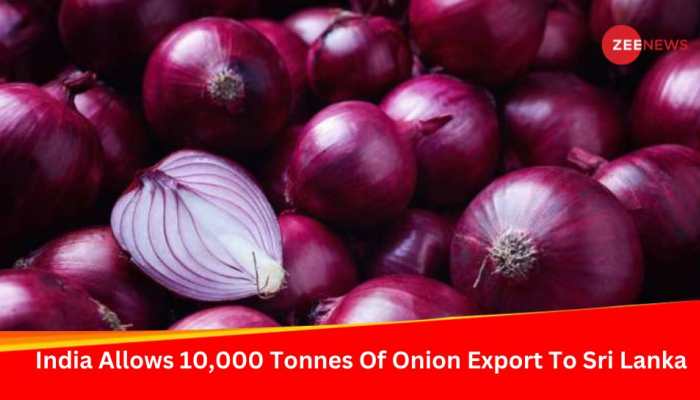 India Allows 10,000 Tonnes Of Onion Export To Sri Lanka, UAE | Economy News | Zee News