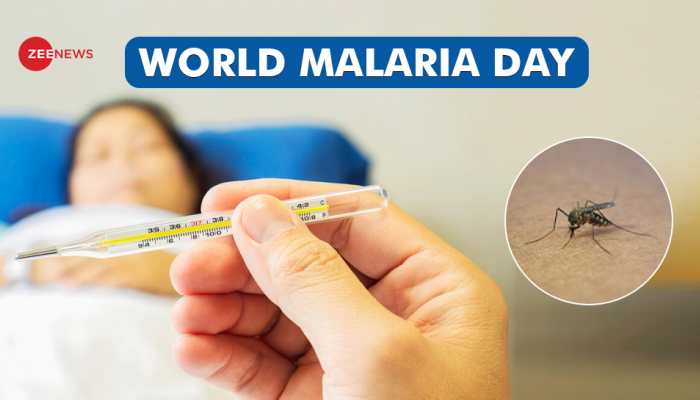 World Malaria Day 2024: Uncomplicated vs Severe Malaria - All You Need ...