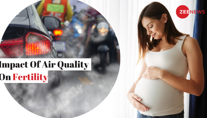 Can Pollution Lead To Infertility? Impact Of Toxic Air On Fertility And ...