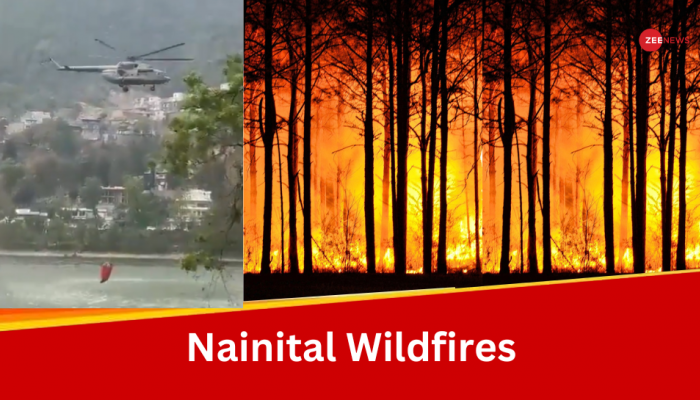 Indian Army, IAF Called In As Forestfire In Nainital Reaches High Court ...