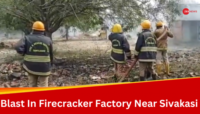 Tamil Nadu: 8 Die In Blast In Sivakasi Firecracker Factory | India News ...