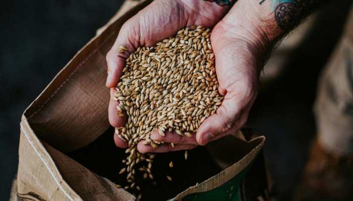 8 Carb Grains With Benefits, Fiber-Rich Choices for Better Health ...