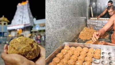 Tirupati Laddoo Case: SIT Investigation Suspended Until October 3 Amid SC Hearing | India News ...