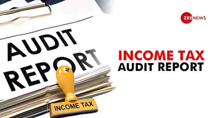 Revised Income Tax Audit Report Deadline For AY 2024-25: Check Date and ...