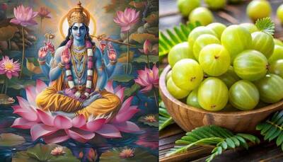 Akshaya Navami 2024: Date, Muhurat, Rituals, And The Spiritual ...