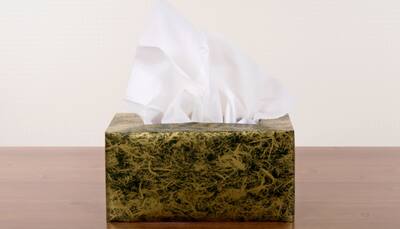 Elegant and Functional Tissue Box Holders You’ll Love | Accessories ...