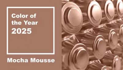 Mocha Mousse: Pantone’s 2025 Colour Of The Year And The Psychology Of ...