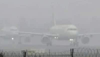 Over 202 Flights Delayed In Delhi As Dense Fog Reduces Visibility To Zero; Train Operations ...