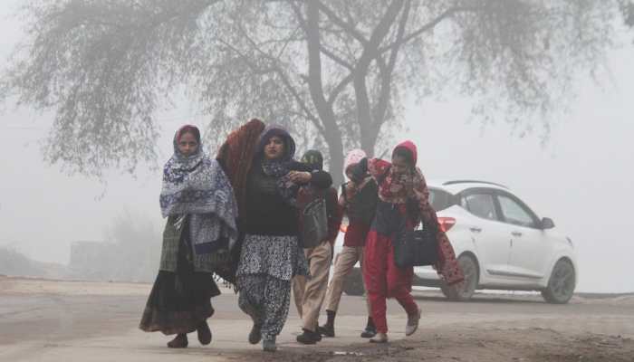 Weather Update: IMD Predicts Dense Fog, Cold Wave And Temperature Drops Across India | India ...