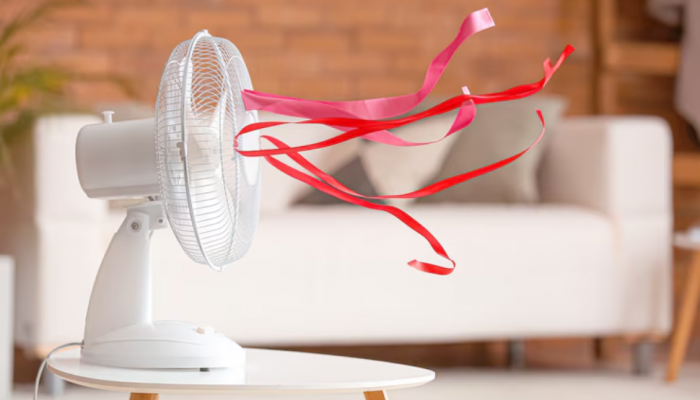 Wind Power on Your Tabletop: Best Table Fans for Home & Office ...