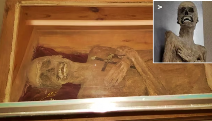 279-Year-Old Austrian Mummy Reveals Mysterious Embalming Method Never ...