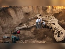 Live Updates | Earthquake In Delhi-NCR Today: STRONG Tremors In Noida ...