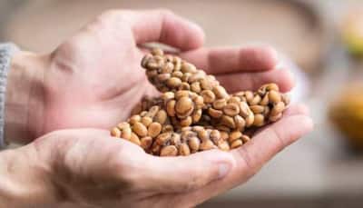 World’s Most Expensive Coffee– Kopi Luwak: Know Why It’s So Expensive ...