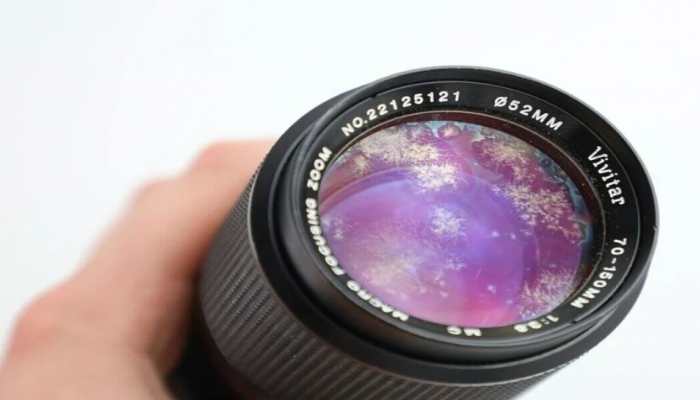 How Lens Fungus Destroys Camera From Within – And What You Can Do About ...